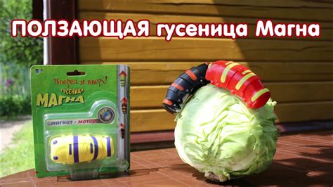 Гусеница Магна – оригинальная электро-механическая игрушка - YouTube