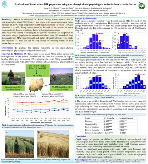 Pdf Evaluation Of Bread Wheat Ril Population Using Morphological And
