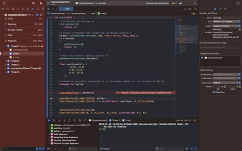 c opengl r opengl