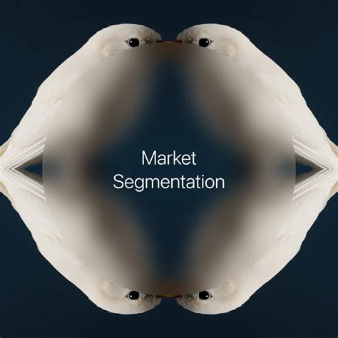 Market Segmentation → Term