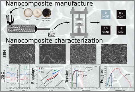 Multifunctional Nanocomposites Based On A Polyamide 6polyamide 12