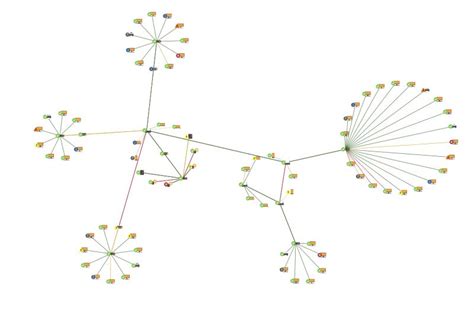 Tom Sawyer Software On Linkedin Python Network Visualization Tom Sawyer Software