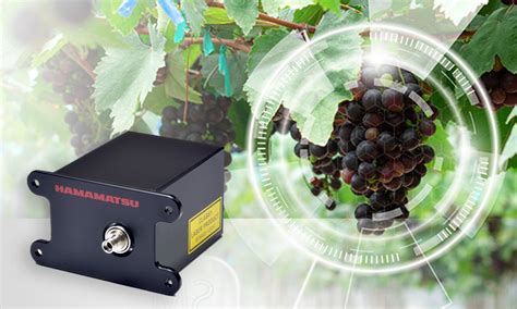 Applications For Portable Nir Spectroscopy In Food Analysis Hamamatsu Photonics