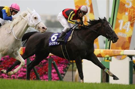 見どころ 2023ブリーダーズカップマイル Jra Van World 海外競馬情報サイト