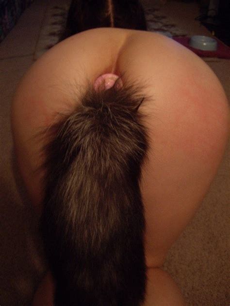 Nice Fluffy Tailed Bitch Pic