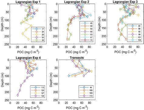 Vertical Profiles Of Particulate Organic Carbon Poc Measured On The