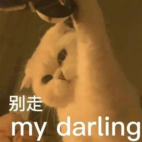 你有什么常用又有趣的表情包三十六 知乎