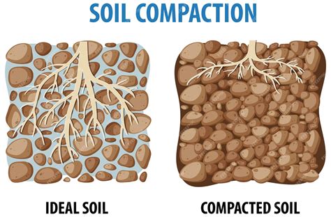 Free Vector Comparison Of Soil Compaction Density In Science Education