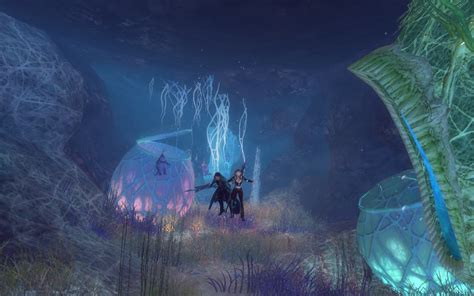 Rp Hot Spots Gendarran Fields Level 25 35 Gw2 Roleplay Haven