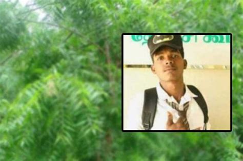 කොහොඹ අතු කපන්න ගිය පාසල් සිසුවා අවසන් ගමන් යයි