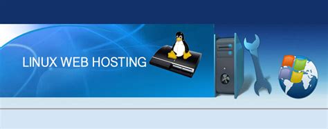 Linux Web Hosting IT Infrastructure Data Center Management Company In India