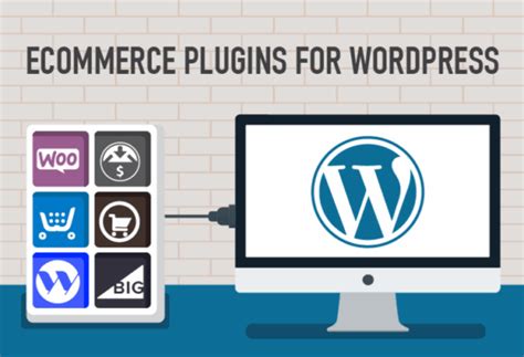 Career Options After Learning Python Programming Language Tech Blogging World