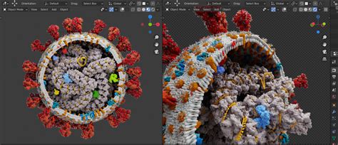 A Scientifically Accurate 3d Model Of Sars Cov 2 Cgtrader