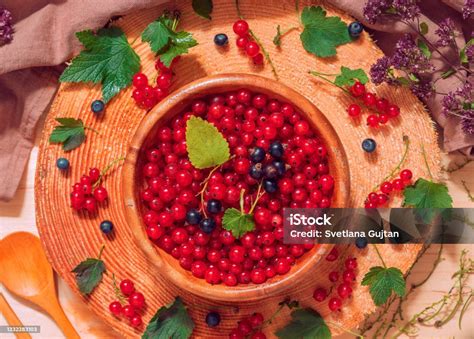 나무 그릇에 있는 잘 익고 육즙이 많은 빨간 건포도의 최고 전망 0명에 대한 스톡 사진 및 기타 이미지 0명 건강한 생활방식 건강한 식생활 Istock