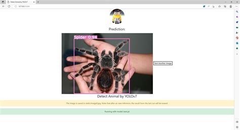 Github Tinhpx291198animaldetectionyolov7