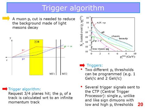 Roberta Arnaldi After Meeting Grenoble 10 May Ppt Download