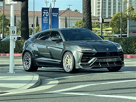 Spotted These [lamborghini Urus] Recently Is It Uruses Urusi Or Just Urus R Spotted
