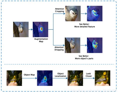 论文：weakly Supervised Data Augmentation Network For Fine Grained Visual