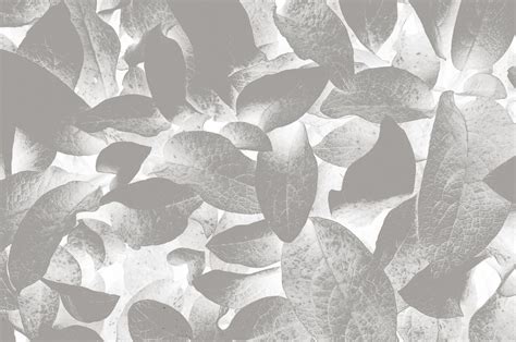 What Is Systemic Therapy Time For Therapy