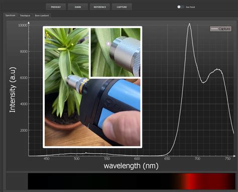 Portable Spectroscopy For Non Destructive In Vivo Plant Measurements