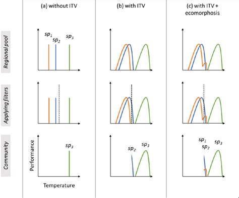 3 illustration of intraspecific trait variability itv and