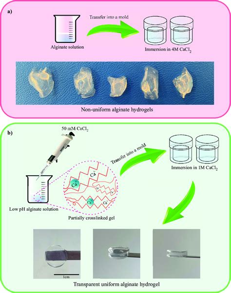 Preparation Of Alginate Gels A By The Conventional Method B By The