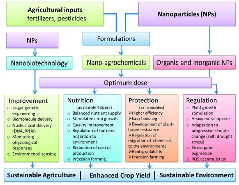Simplified Overview Of Potential Applications Of Nanomaterials In Download Scientific Diagram