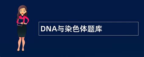 DNA与染色体考试题库 试题及答案 找题吧