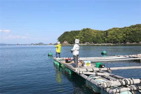 光丸の紹介 光丸の公式サイト 三重 白浦 筏 カセ