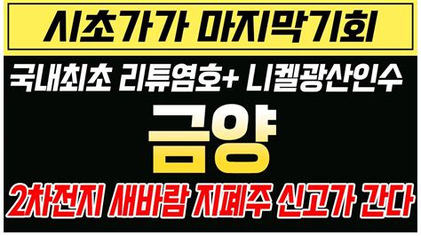 금양 긴급 속보 미친 듯이 올라간다 지금 당장 쓸어 담자 일생일대의 평생 한번 오는 기회 금양 금양주가 금양주가전망 금양전망 금양주식 Youtube