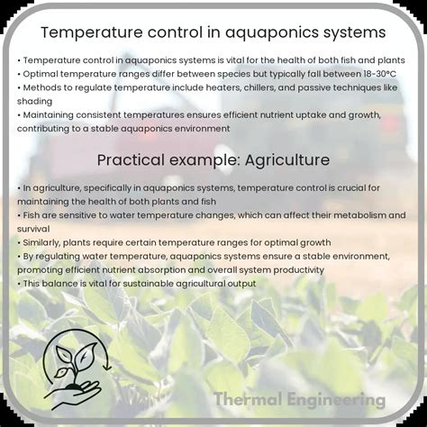Temperature Control In Aquaponics Systems