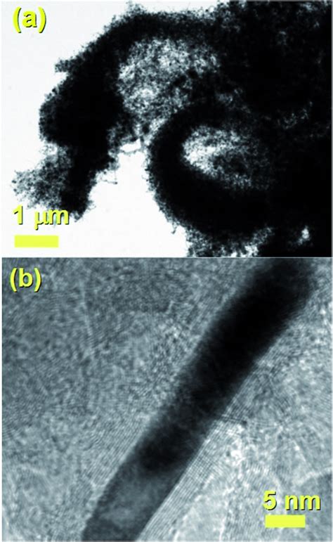 Transmission Electron Micrographs Showing The Cross Sectional