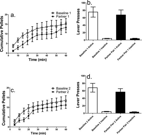 Social Facilitation Of D Amphetamine Self Administration In Rats Pmc