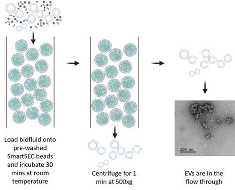 SmartSEC EV Isolation System The Next Generation Of Size Exclusion Chromatography SEC For