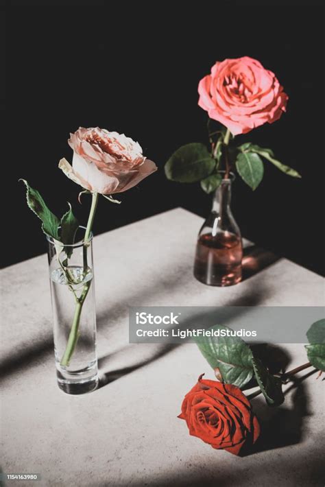 블랙에 고립 된 돌 테이블에 유리 병에 분홍색과 빨간 장미 꽃의 선택적 초점 0명에 대한 스톡 사진 및 기타 이미지 0명 그림자 꽃 꽃의 구조 Istock