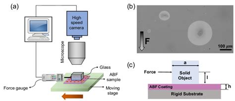 A Schematic Of Experimental Setup To Exhibit Stress Localization