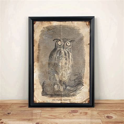 Owl Drawing Etsy