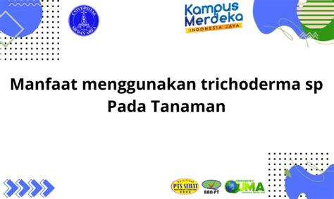Manfaat Menggunakan Trichoderma Sp Pada Tanaman P3bms