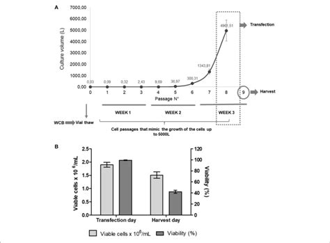 A Experimental Design Of The Reproducibility Assay After Vials Download Scientific Diagram