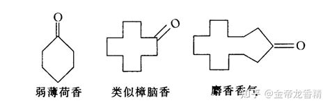 香料的分子结构与香气的关系 知乎