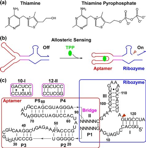 Thiamine Pyrophosphate