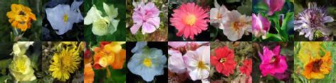 Diffusers Examples Unconditional Image Generation README Md At Main