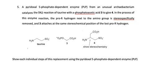 A Pyridoxal 5 Phosphate Dependent Enzyme Plp ﻿from