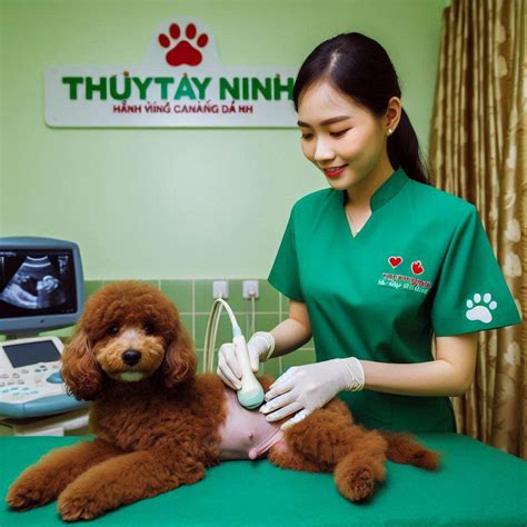 Lo I Thu C Ng I Tuy T I Kh Ng Cho Th C Ng D Ng Ch Vi N C Ng G Y Suy Th N Th Y T Y