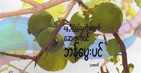 နွေဦးပြည်သူတို့အတွက် ဘန့်ပွေးပင် ဆေးဖက်ဝင်