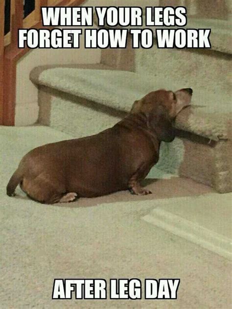 27 Memes About Going To The Gym That Are Way Funnier Than They Should