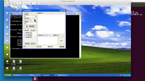 Python编程 网络编程 基本概念 Udp 05 （重点）运行python程序以及python交互模式，encode编码，发送udp的练习