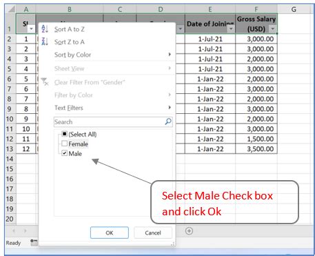 How To Filter In Excel With Shortcut Methods
