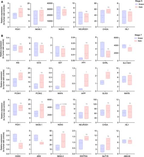 comparable islet gene expression profiles between shaker and static