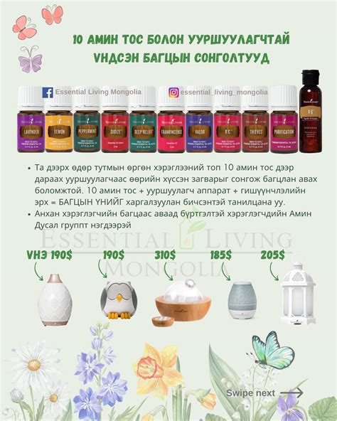 Essential Living Mongolia Оройн мэнд Шинэхэн сарын ажлын эхний өдрийг гайхалтай өнгөрүүлэв үү